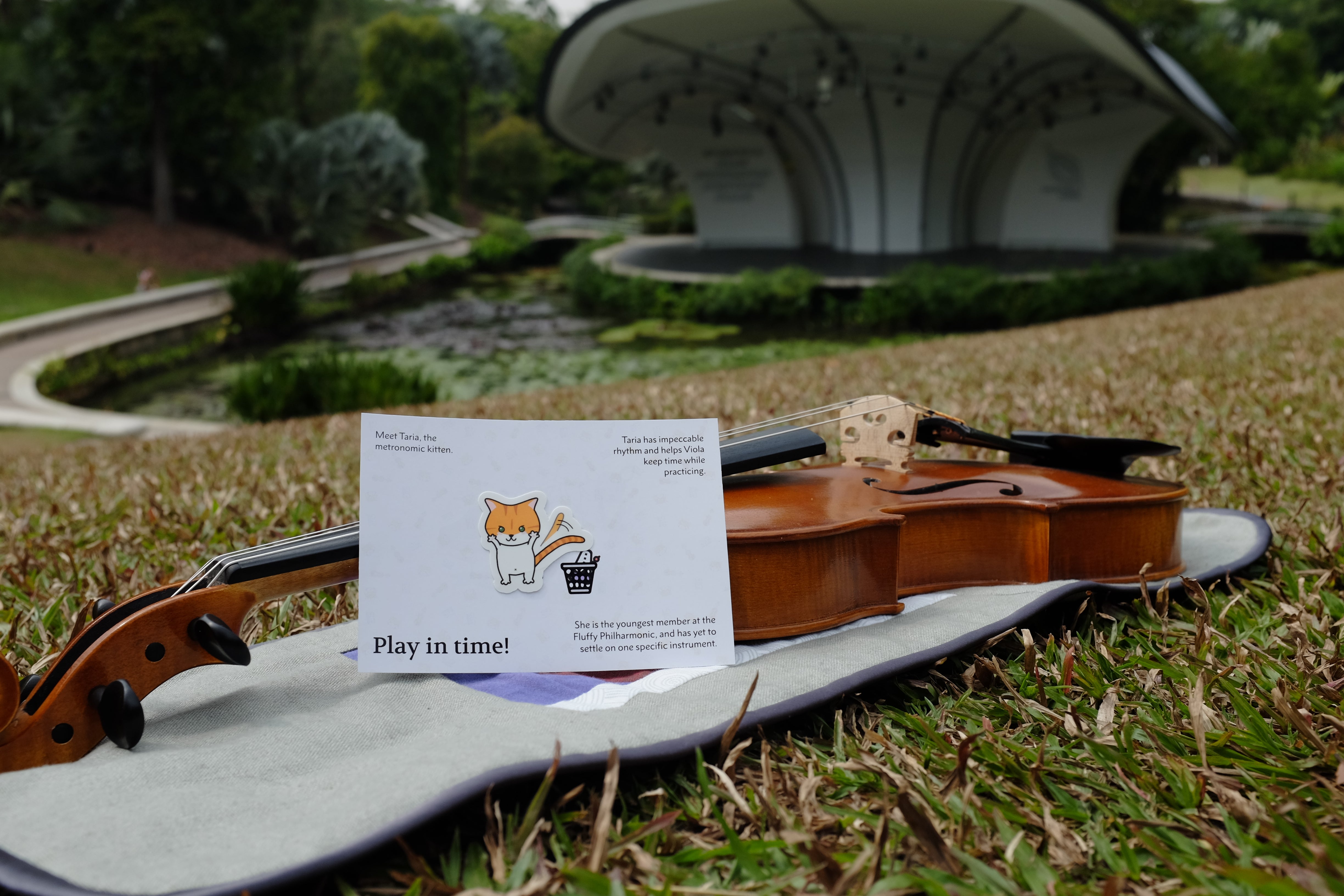 Play in time! – Red Viola Panda